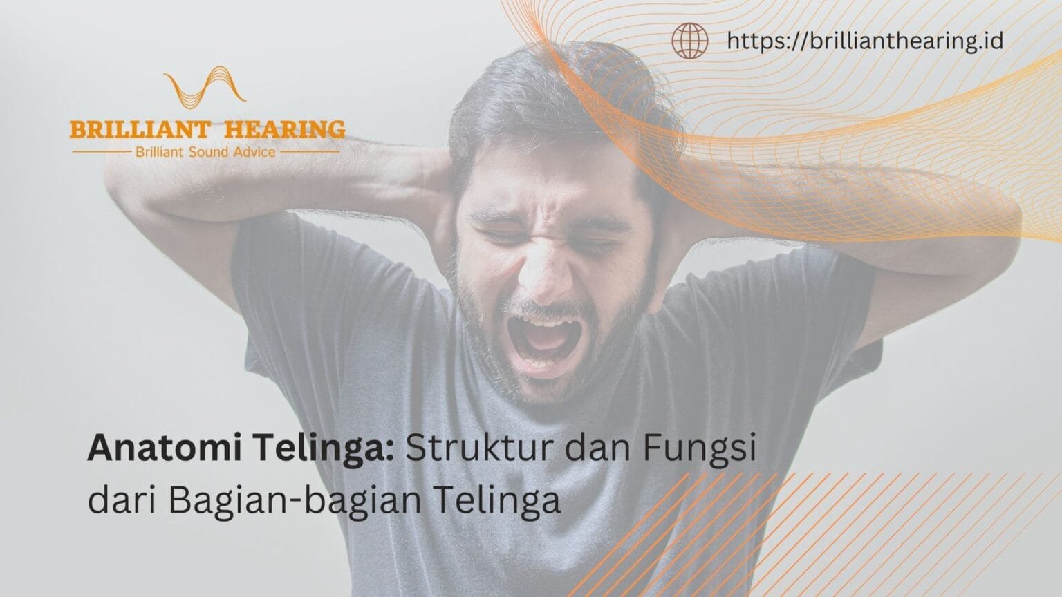 Anatomi Telinga: Struktur dan Fungsi dari Bagian-bagian Telinga ...