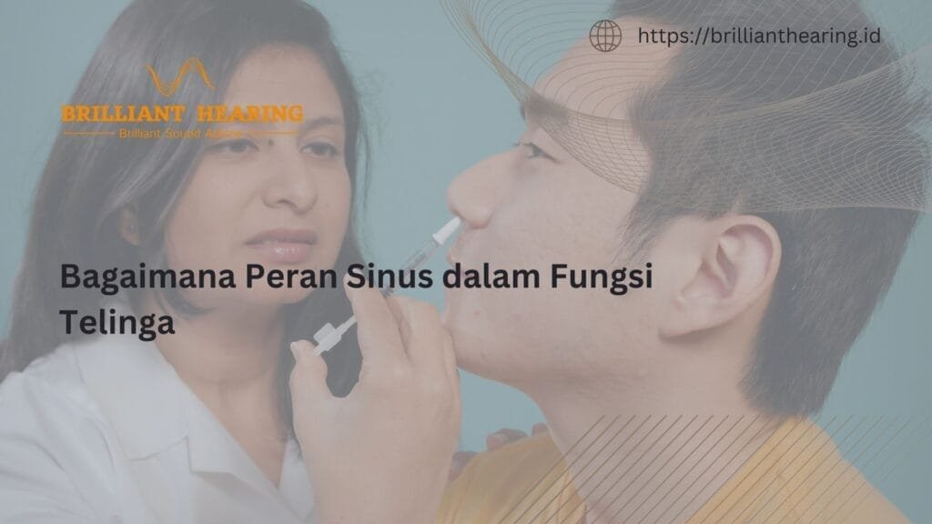 Bagaimana Peran Sinus dalam Fungsi Telinga - Brilliant Hearing